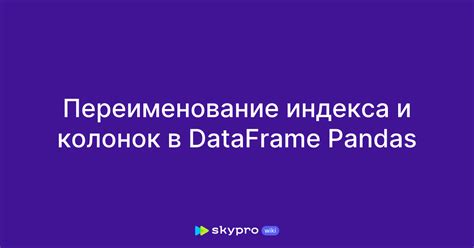 Переименование индекса и колонок в Dataframe Pandas