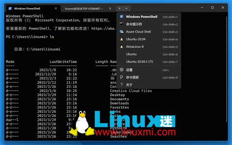 何时应该考虑使用 WSL 而不是标准 Linux 发行版 Windows 运行 服务器