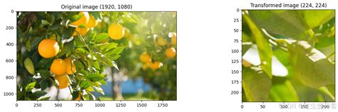 [pytorch深度学习] 基于transforms的图像数据增强理解与实现 transforms 数据增强 csdn博客
