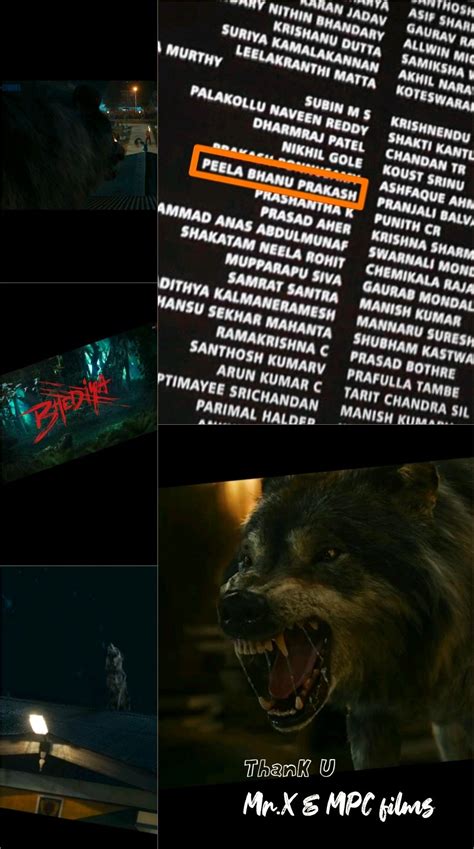 Bhanu Prakash Peela On Linkedin Bhediya Mpc