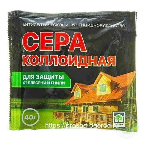 Почему появилась ржавчина на груше и что делать. Как вылечить грушу от ...