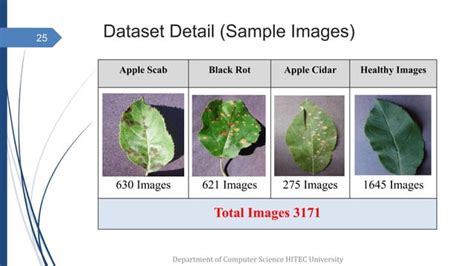 Classification Of Apple Diseases Through Machine Learning