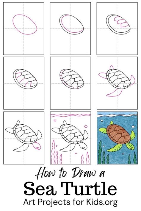 Easy Sea Turtle Drawing Tutorial