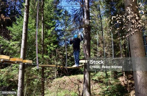 젊은이는 놀이공원에서 밧줄을 잡고 높은 곳에서 나무 장애물을 극복한다 45 49세에 대한 스톡 사진 및 기타 이미지 45 49세 가족 나무 Istock