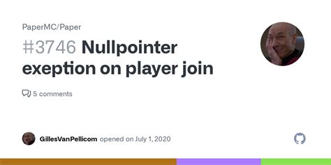 Nullpointer Exeption On Player Join · Issue 3746 · Papermcpaper · Github