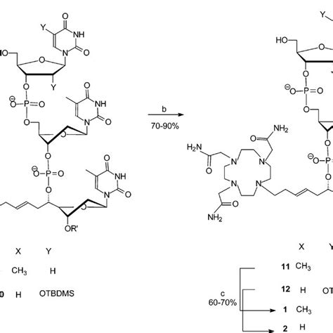 Macrocycle Trinucleotide Conjugates 1 And 2 And Eu 3 Download Scientific Diagram