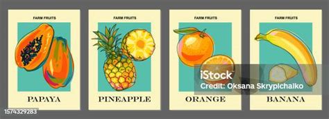 과일이 있는 템플릿입니다 파파야 바나나 오렌지 파인애플 포스터 세트입니다 엽서 벽 예술 배너 배경 라벨 표지 가격표 포장을 위한 예술 벡터 그림입니다 0명에 대한 스톡 벡터