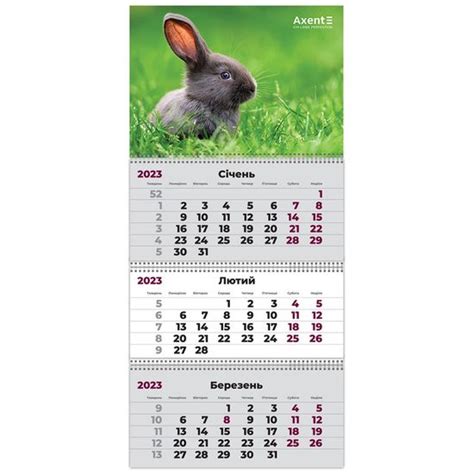 Календар настінний квартальний на 2023 рік 63х29 7 см 3 пружини Кролик 8803 23 01 A Axent
