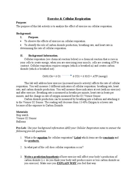 Exercise Lab Pdf Breathing Cellular Respiration