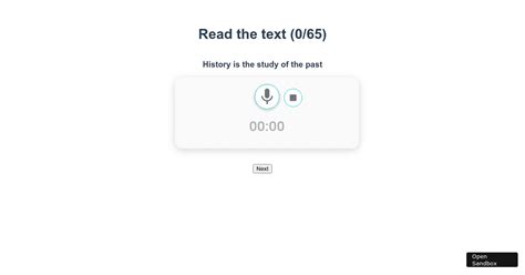 Vue Audio Recorder Examples CodeSandbox