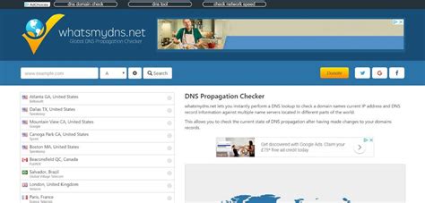Полное руководство по Dns в Wordpress