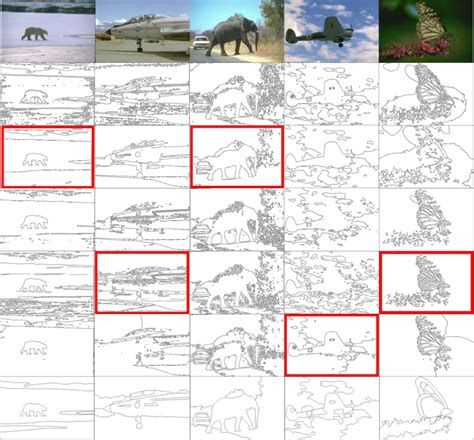 Examples Of Berkeley Dataset Segmentation First Row Original Images