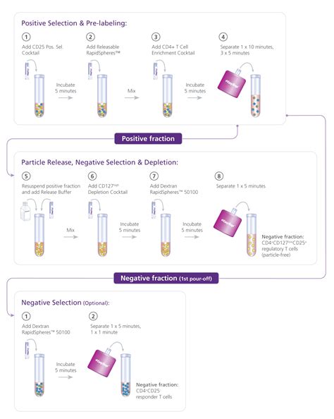 EasySep Human CD4 CD127lowCD25 Regulatory T Cell Isolation Kit 产品中心 君合天晟