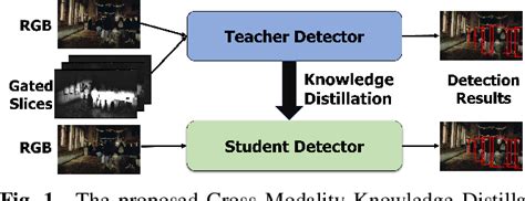 Cross Modality Knowledge Distillation For Robust Pedestrian Detection In Low Light And Adverse