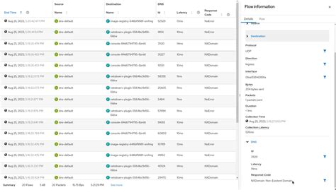 Network Observability Per Flow Dns Tracking