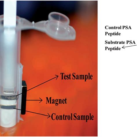 Application Of The Colorimetric Detection Methods A Biosensor Chip Download Scientific