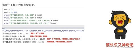Python 基础语法全面解析：字面量、注释、变量等入门概念介绍python字面量 Csdn博客