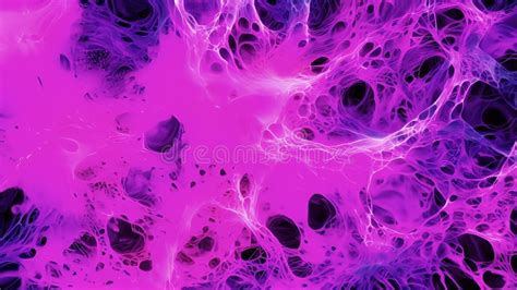 In This Image We See A Complex Web Of Collagen And Elastin Fibers Which Make Up The