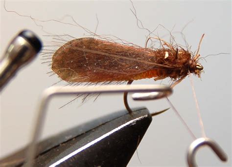 How To Tie Realistic Caddis Fly Frostyfly