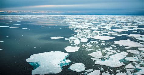 por qué hay más plástico en el Ártico que en otros lugares de la tierra