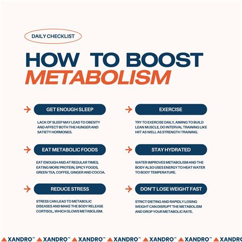 Top Ways To Increase Your Metabolism Xandro Lab