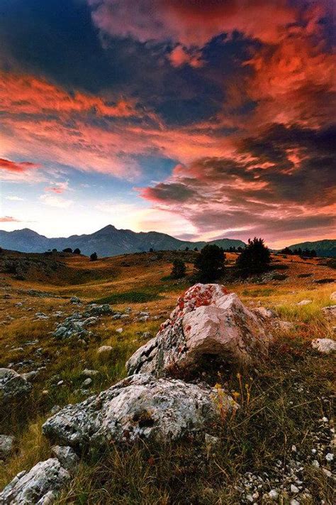 千里之行，始于足下；不积跬步，无以至千里；不积小流，无以成江海