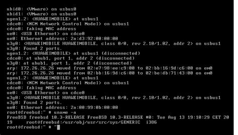 Scripting The Behaviour Of Status Interfaces Dhcp Renew Button