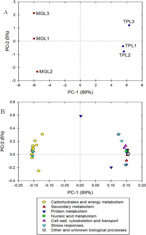 Principal Component Analysis Pca Of Scores A And Loading B Plots