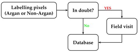 Efficient Argan Tree Deforestation Detection Using Sentinel 2 Time Series And Machine Learning
