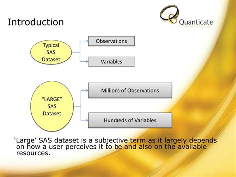 Ppt Working Efficiently With Large Sas® Datasets Powerpoint Presentation Id524663