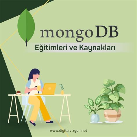 Mongodb Eğitimleri Ve Kaynakları Digital Vizyon Akademi