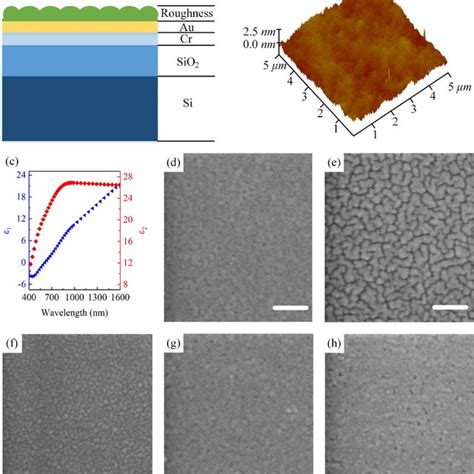 Schematic Illustration Of The Roughness Au Cr Sio2 Si Structure A Download Scientific