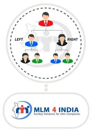 Multi Level Marketing Binary Plan Software Webbased Free Demo Trial Available At Rs In