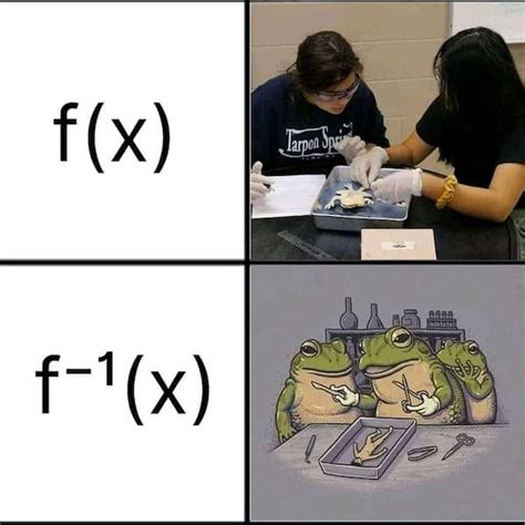 Frankly Were Not Sure We Fully Understand These Math Memes