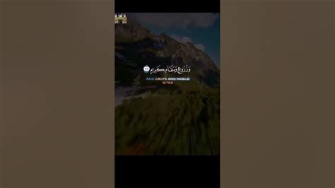 كم تركوا من جناتٍ وعيون عبدالباسطعبدالصمد Youtube