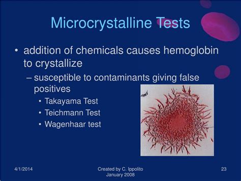 Ppt Forensic Serology Powerpoint Presentation Free Download Id517364