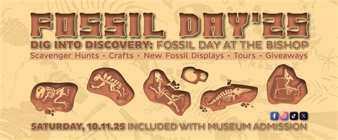 Celebrate National Fossil Day At The Bishop Bradenton Gulf Islands