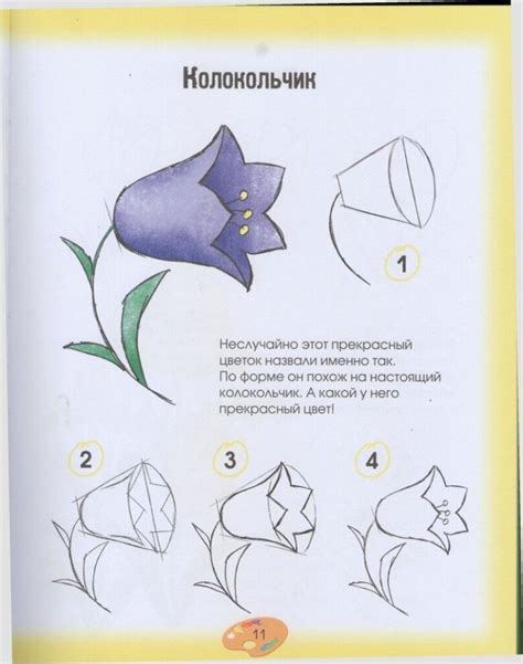 Как нарисовать цветок легкий поэтапный метод рисования своими руками