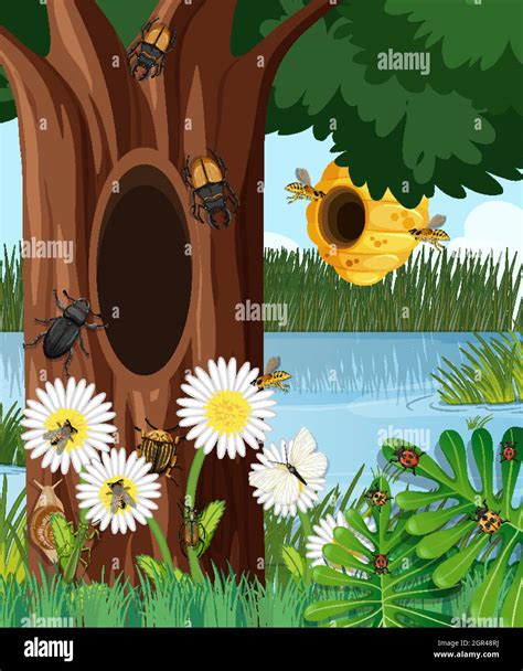 Forest Scene With Bee Hive And Other Insects Stock Vector Image And Art