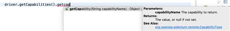 Java How To Provide Custom Capabilities On The Selenium Server