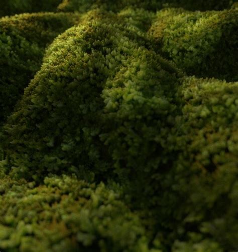 Artstation Redshift Shader C4d Moss V4 Resources Artstation Redshift Shader C4d Moss V4 Resources