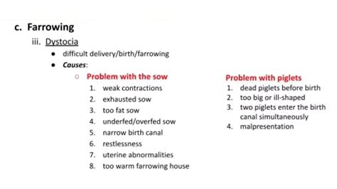 Marion Moreno Farrowing Managementpptx