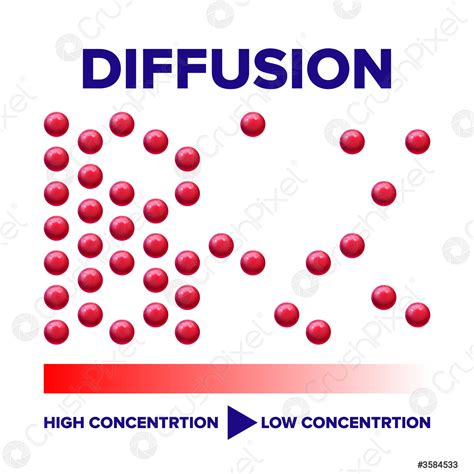 Diffusion Physics Process Vector Info Poster Template Stock Vector