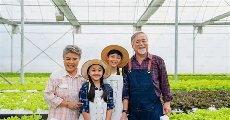 수경재배 시스템 채소 농장에서 함께 일하는 행복한 아시아 가족 농부의 초상화 조부모님은 온실 정원에서 유기농 상추 채소를 재배하고 돌보는 어린 손자 소년과 소녀를 가르치고