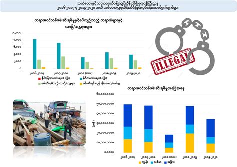 သယံဇာတနှင့်သဘာဝပတ်ဝန်းကျင်ထိန်းသိမ်းရေးဝန်ကြီးဌာန၏ ၂၀၁၆ မှ ၂၀၂၀ အတွင်း သစ်တောပြုစုထိန်းသိမ်းခြင