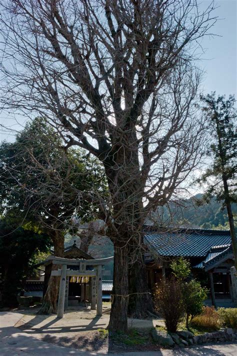 幸神社 福岡県糸島市高祖 空 sora そら