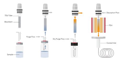 What Is Dynamic Headspace Gerstel Usgerstel Us