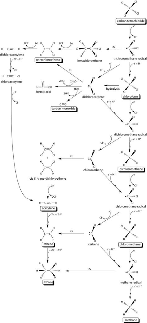 Potential Reaction Scheme For The Reduction Of Ct And The Formation Of