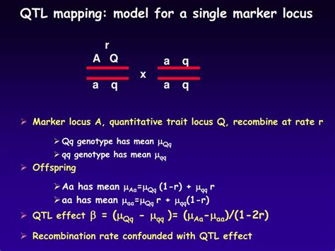 Ppt Reverse Genetics Quantitative Trait Locus Qtl Mapping Association Mapping Powerpoint