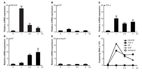 Figure 1 From Helicobacter Pylori Induced Hb Egf Upregulates Gastrin Expression Via The Egf